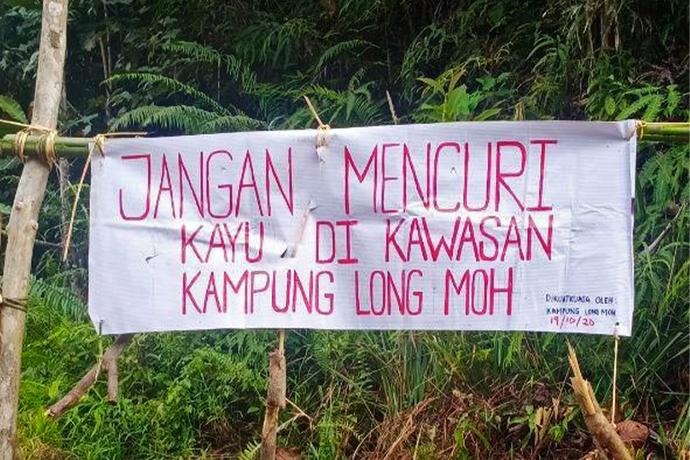 Malaysian timber giant Samling takes conflict over logging activity to ...