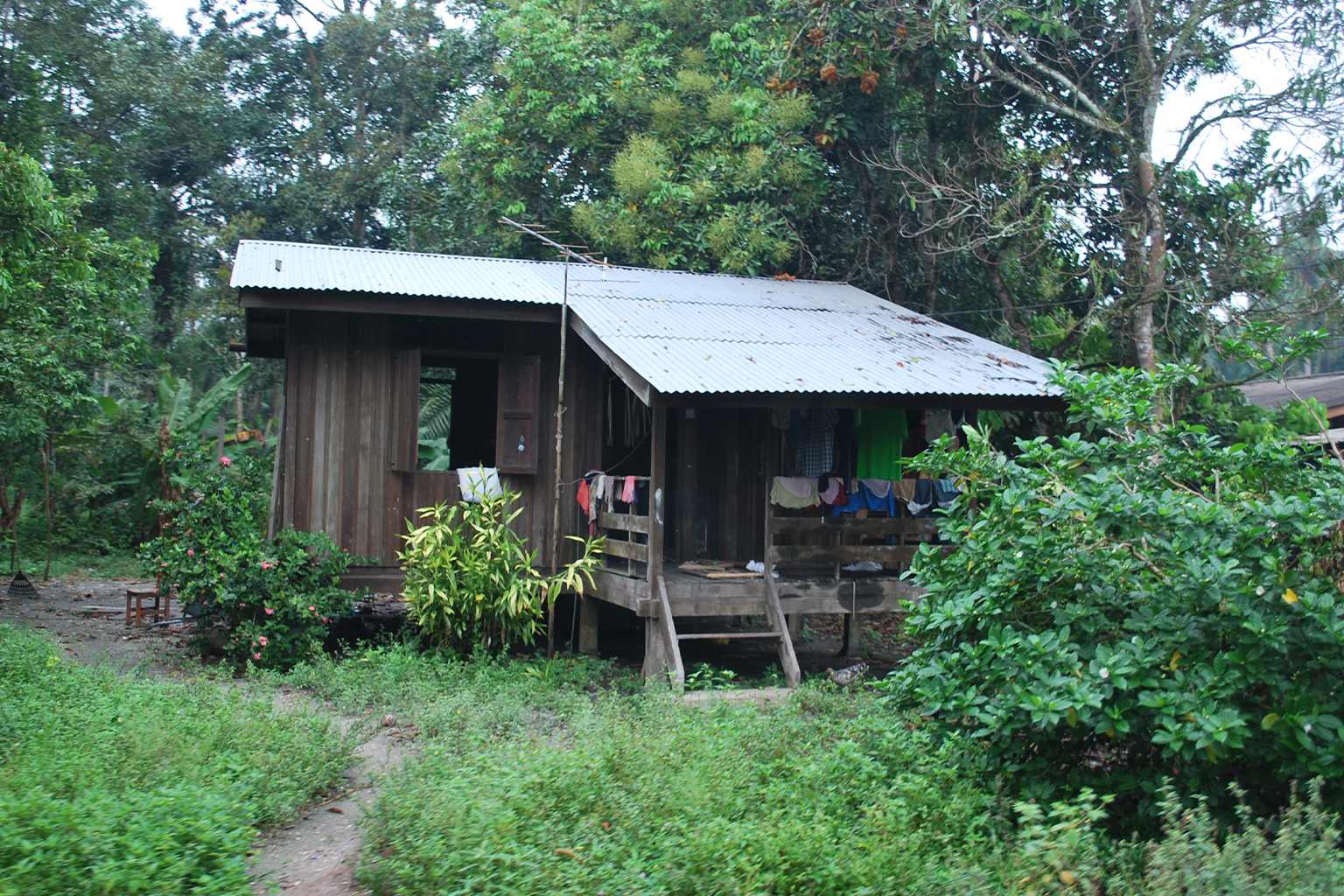 They safeguarded nature, but now Malaysia’s Mah Meri face eviction for ...