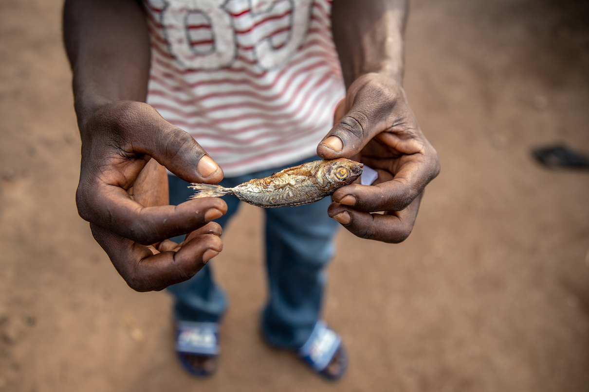 Food security framing increases relevance of biodiversity negotiations ...