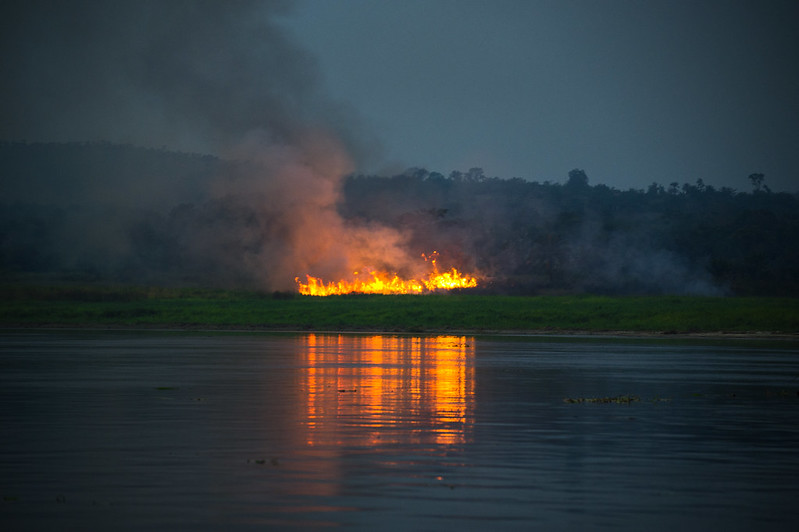 L.A.-sized tract of primary forest went up in flames in DRC province in ...