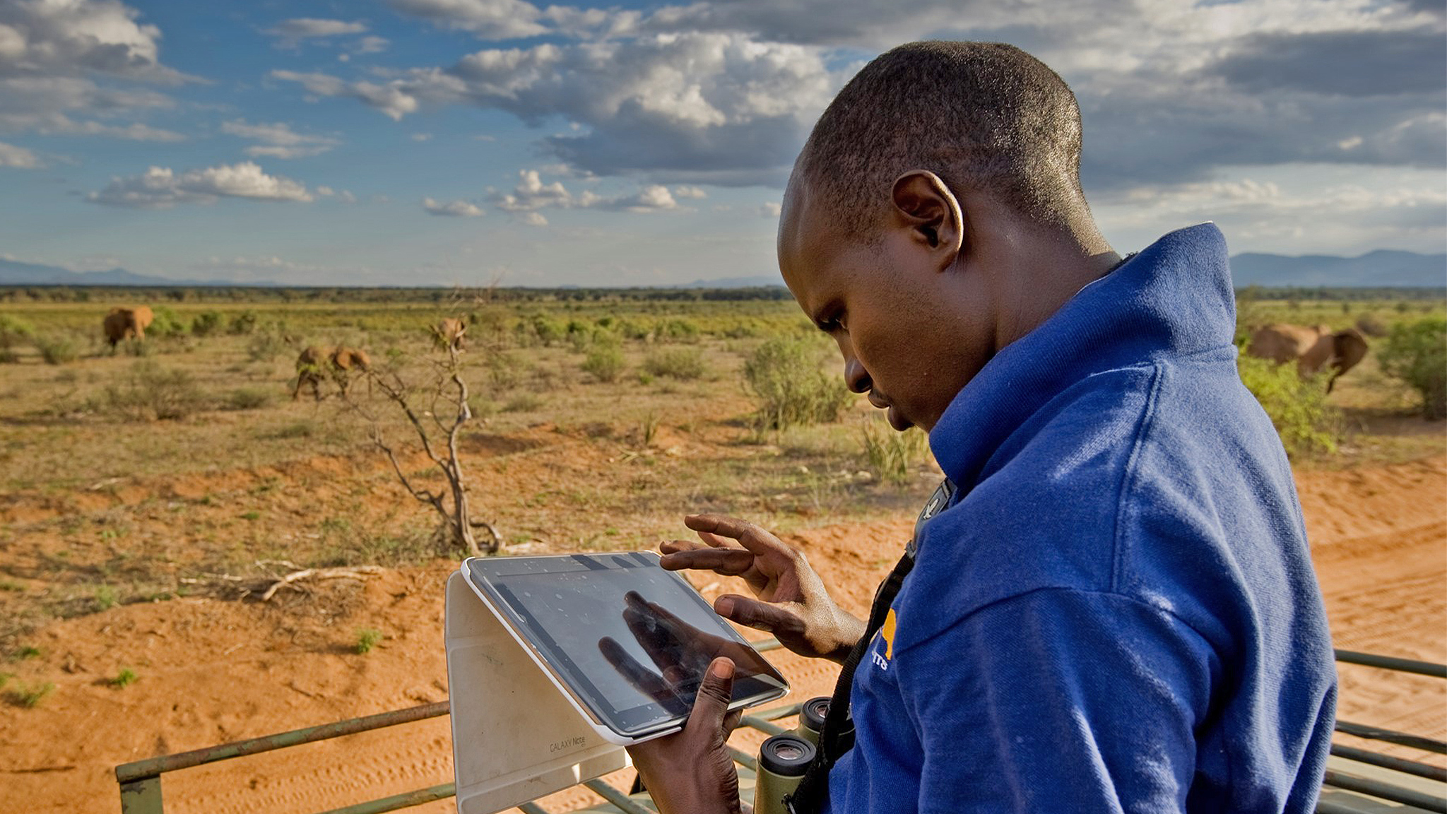 Find my elephant: The conservation apps revolutionizing how rangers work