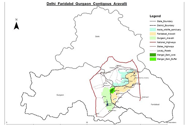 Next to India’s capital, a village looks to the past for its forest’s ...