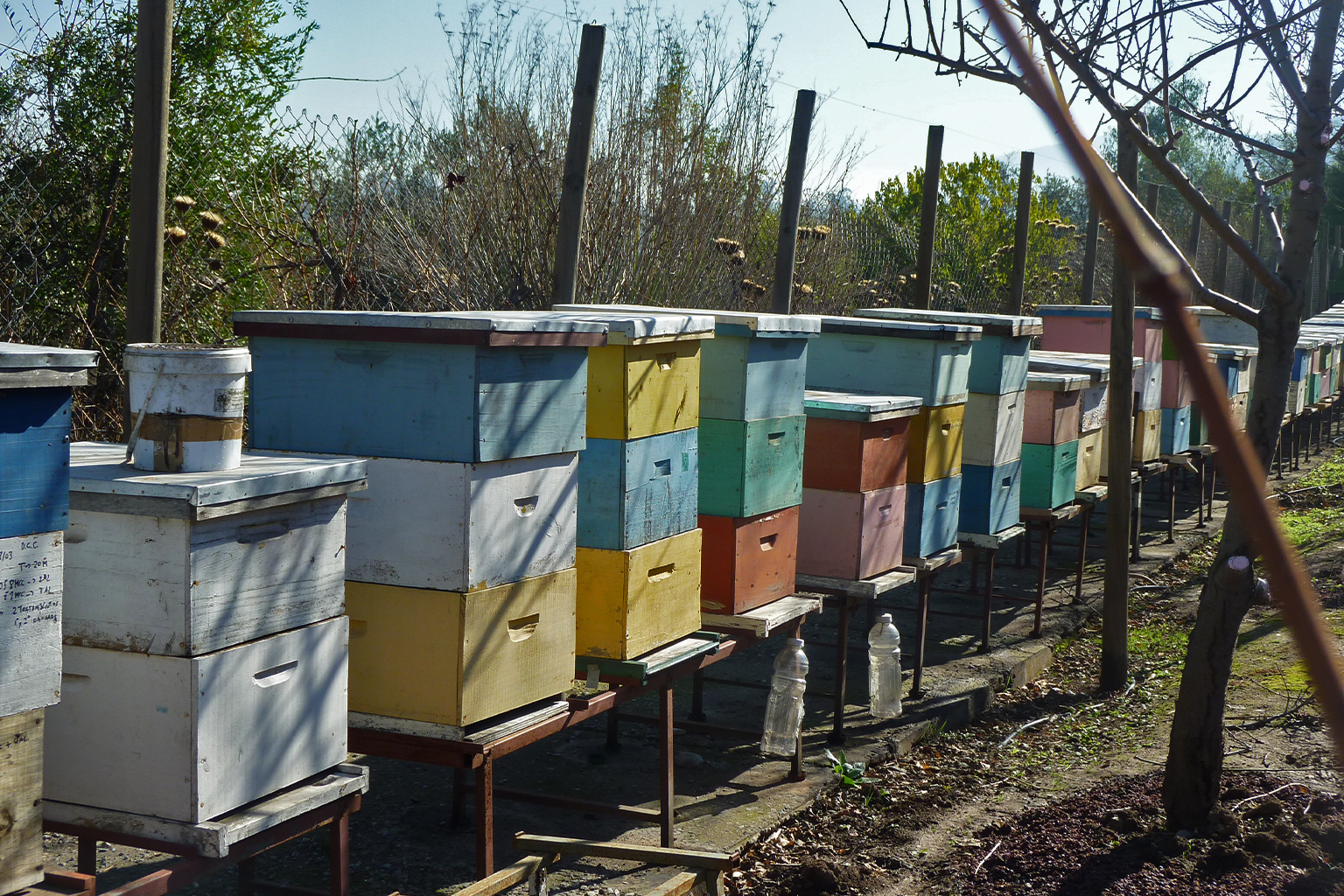 Enhancing biodiversity through the belly: Agroecology comes alive in Chile