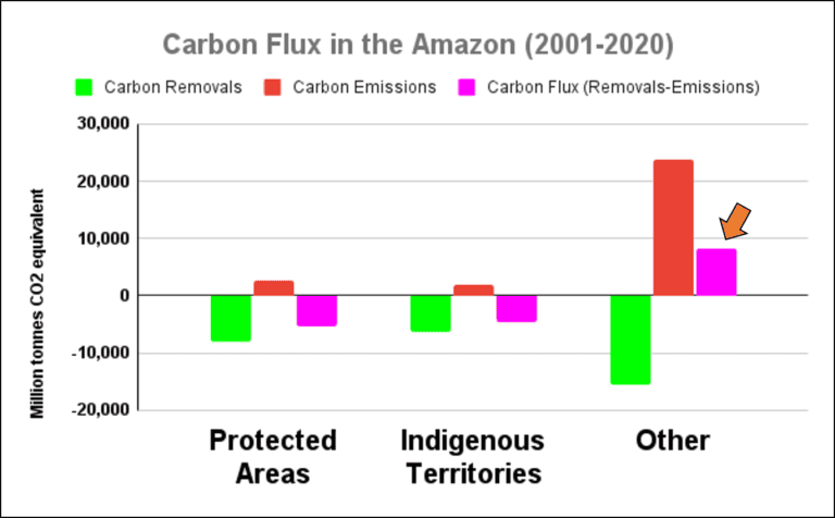 New study offers latest proof that Brazilian Amazon is now a net CO2 source
