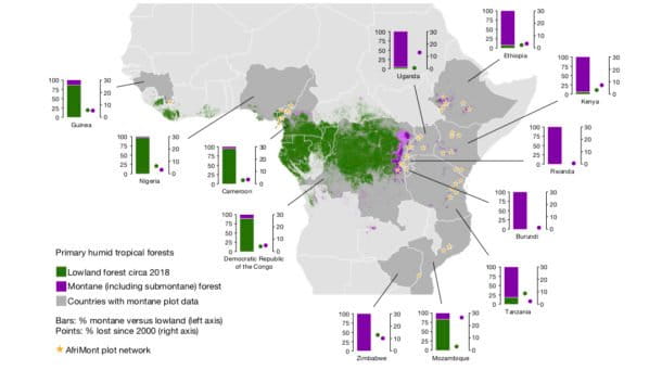 Africa’s montane forests are more carbon-dense than even the Amazon