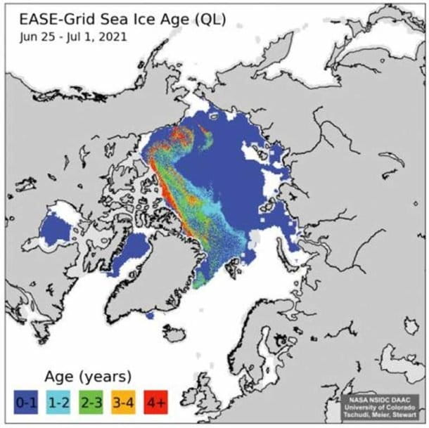 Researchers express alarm as Arctic multiyear sea ice hits record low