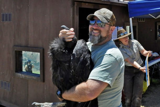 Thanks to the Yurok Tribe, condors will return to the Pacific Northwest