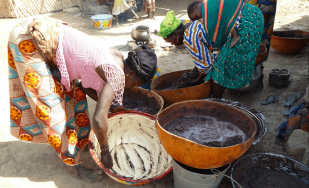 Shea trees are falling fast across Africa, victims of new pressures ...