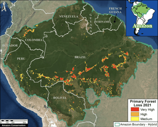 Brazil leads Amazon in forest loss this year, Indigenous and protected ...
