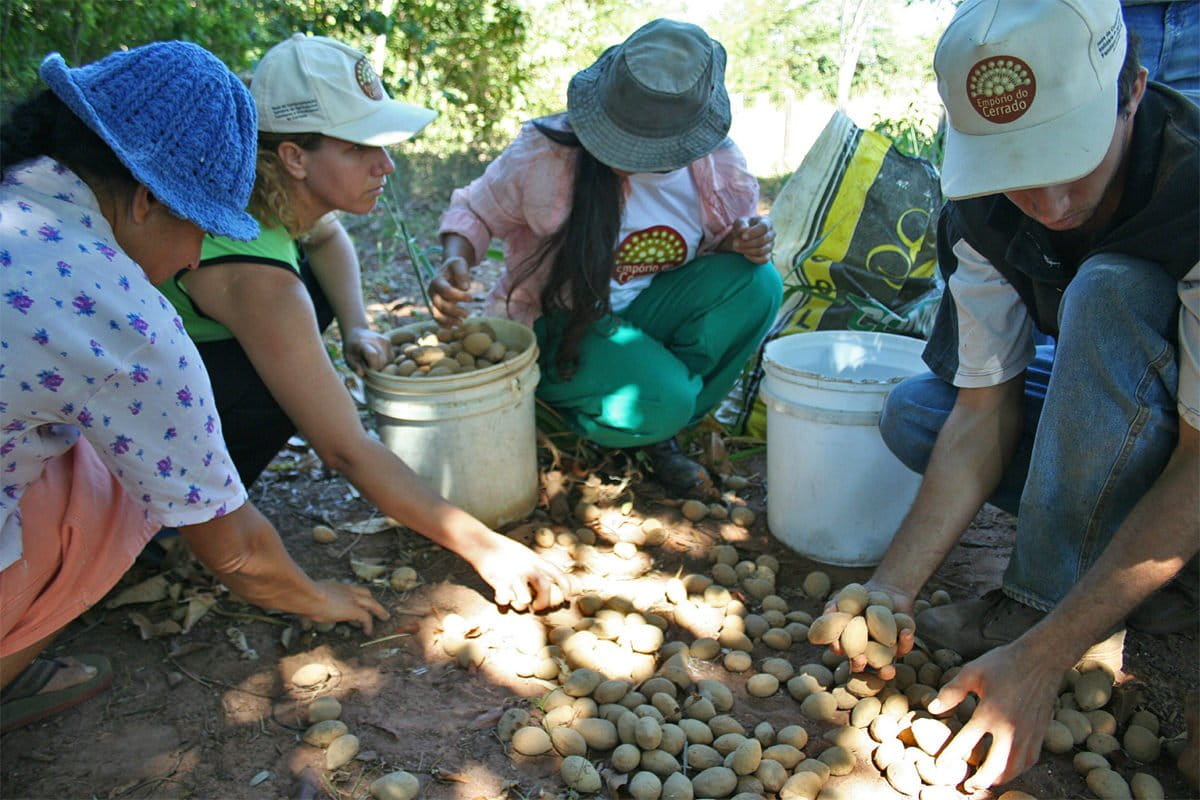 Brazil farming co-op carves a sustainable path through agribusiness ...