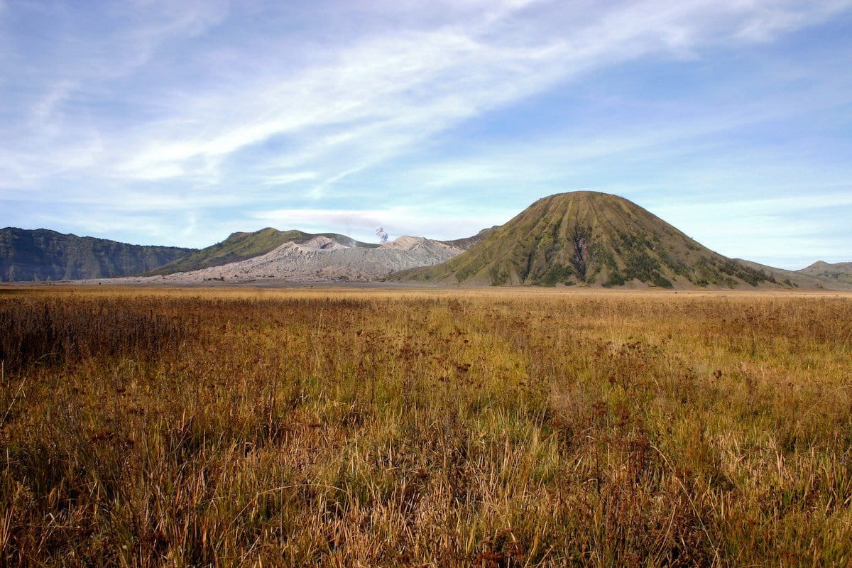 Indonesian park officials douse wildfire in Javan leopard habitat
