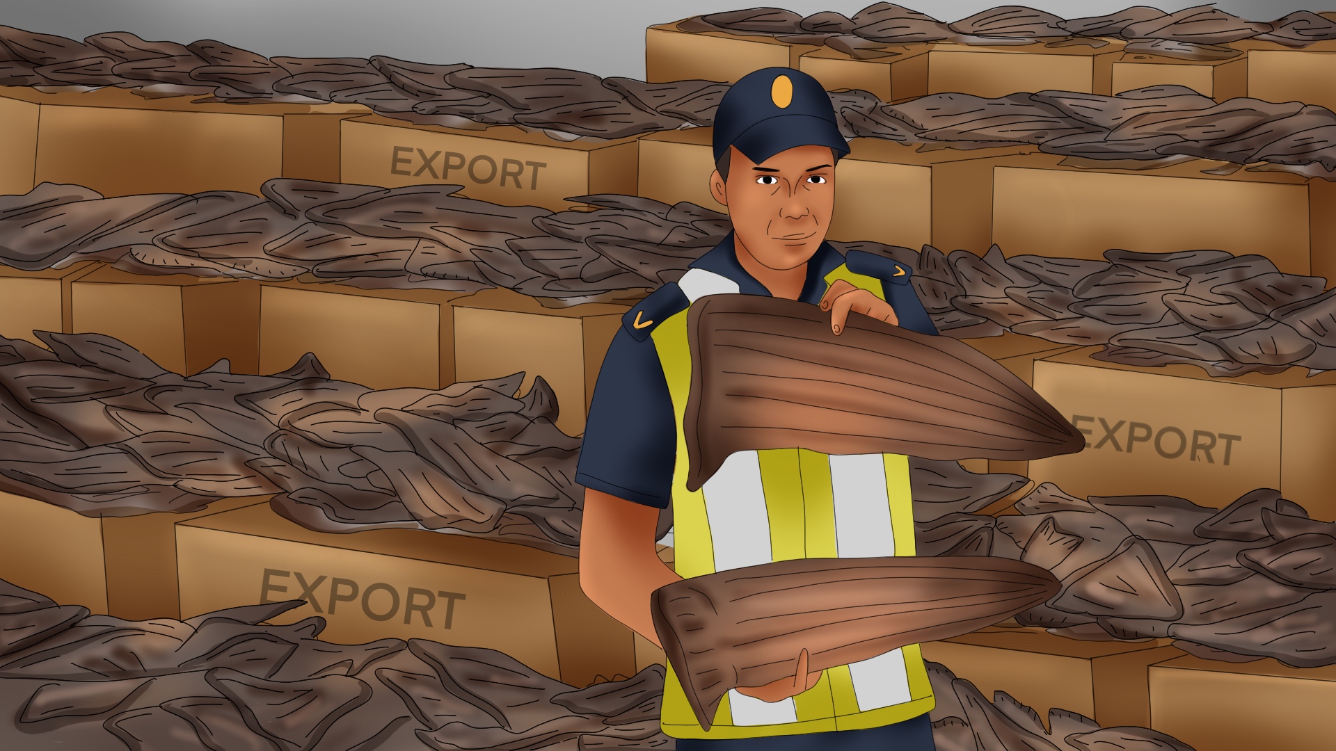 Sinking hope of justice as exporter of 26-ton shark fin cargo gets ...