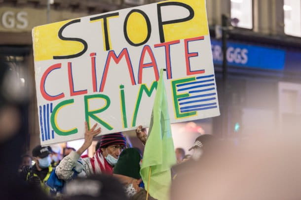 The Top Positive Environmental News Stories from 2021