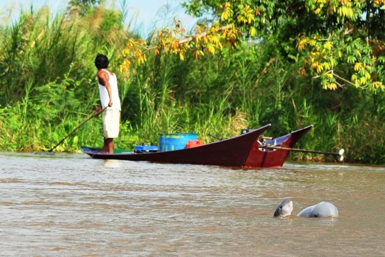 Stretch of Borneo’s Mahakam River eyed for protection to save Irrawaddy ...