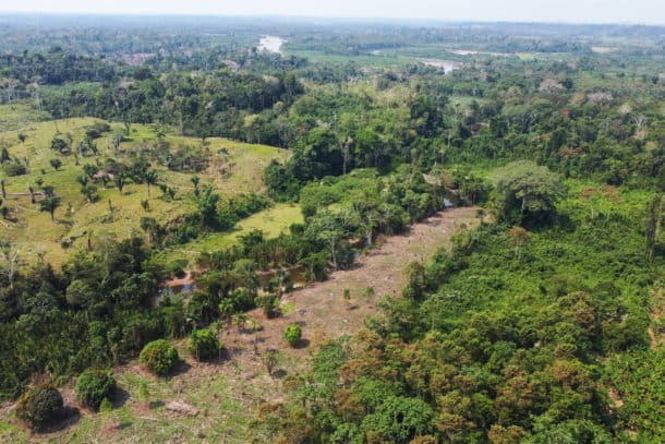 In Peru’s Amazon, deforestation and crime sweep through Indigenous ...