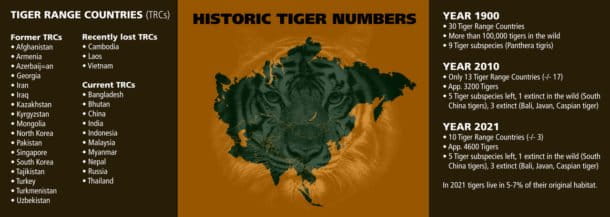What's stopping some countries from keeping up with tiger conservation ...