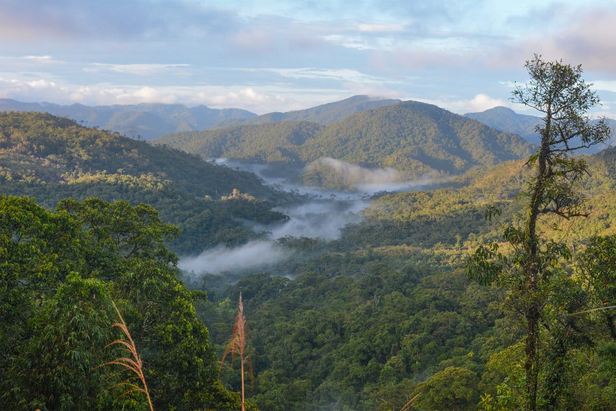 Struggle Endures for Philippine Community Pitted Against Gold Miner ...
