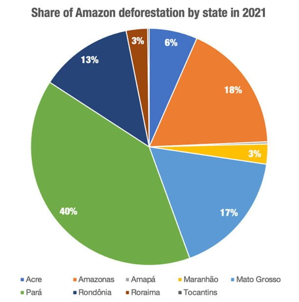 Amazon deforestation unexpectedly surges 22% to highest level since 2006