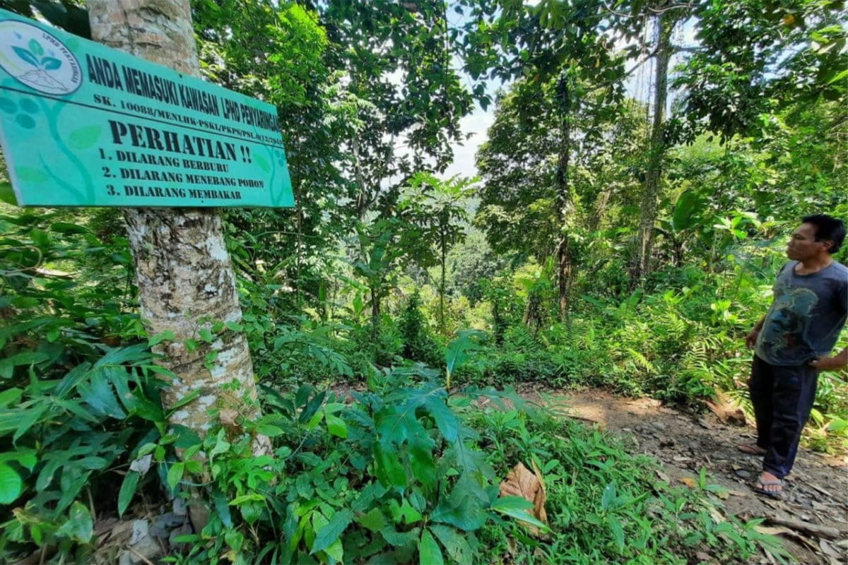With loss of forests, Bali villages find themselves vulnerable to disaster