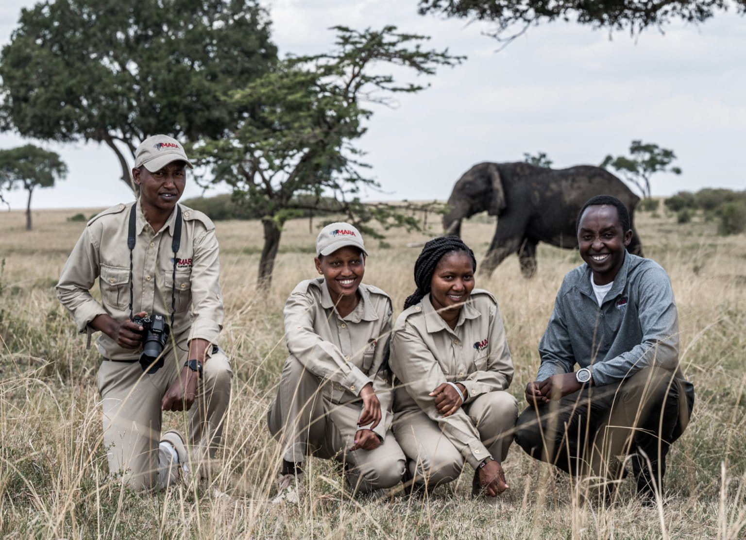 Boosting human and machine expertise with conservation tech: Q&A with ...