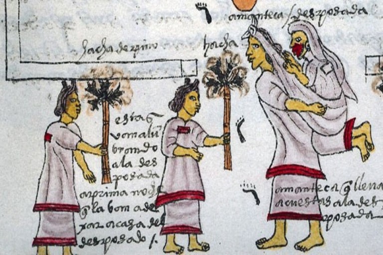 Mexican firm profits from reforestation, empowers Indigenous people