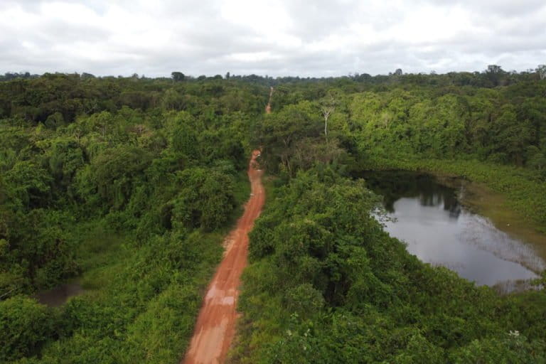 Tukupu: The women of the Kariña community, guardians of Venezuela’s forests