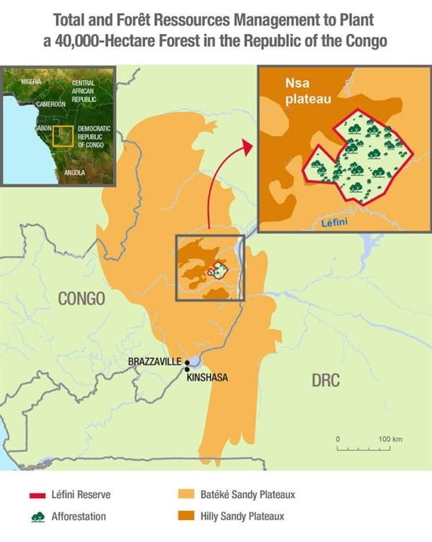 At a plantation in Central Africa, Big Oil tries to go net-zero