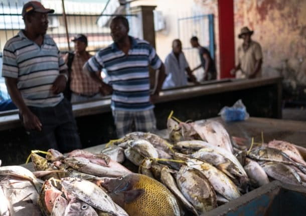 Bleached reefs still support nutritious fish, study finds