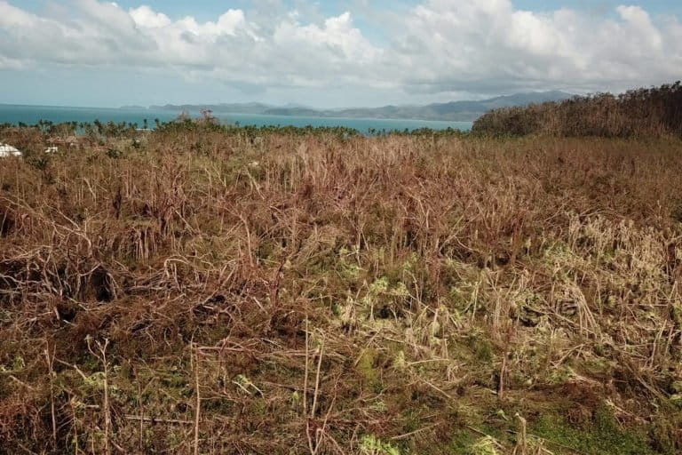 Typhoon exposes biodiversity haven Palawan’s vulnerability — and resilience