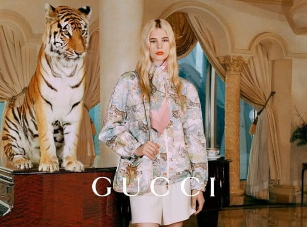 The Years of the Tiger: The demand for tigers and the price they pay ...