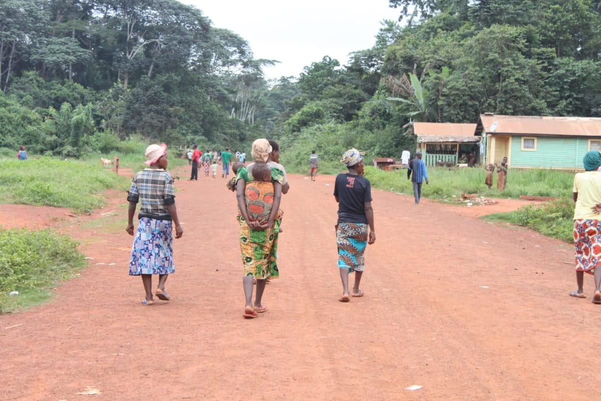 Indigenous hunter-gatherers in Cameroon diversify food sources in the ...