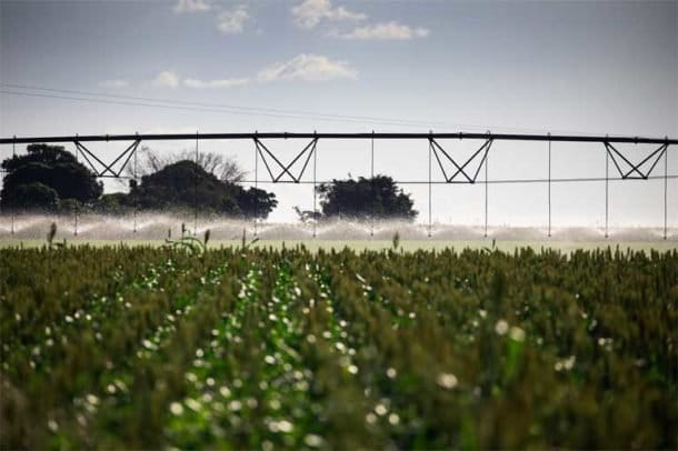 Brazil’s agroforestry farmers report many benefits, but challenges remain