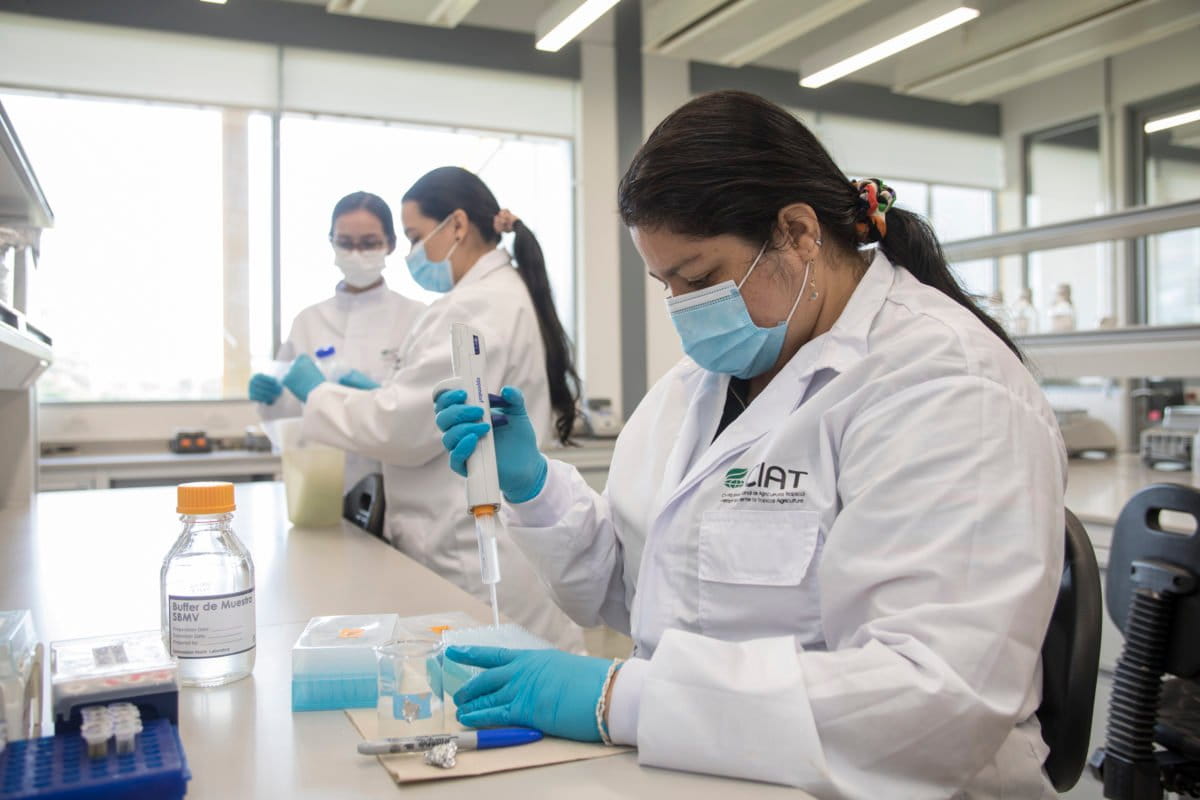 World’s biggest tropical crop bank opens in Colombia, taking food ...