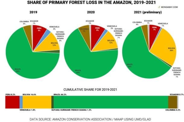 2021 Amazon deforestation map shows devastating impact of ranching ...