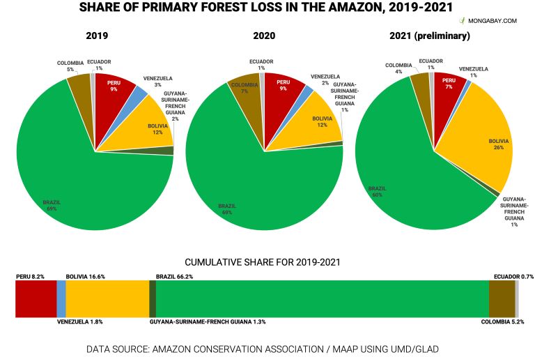 2021 Amazon deforestation map shows devastating impact of ranching ...