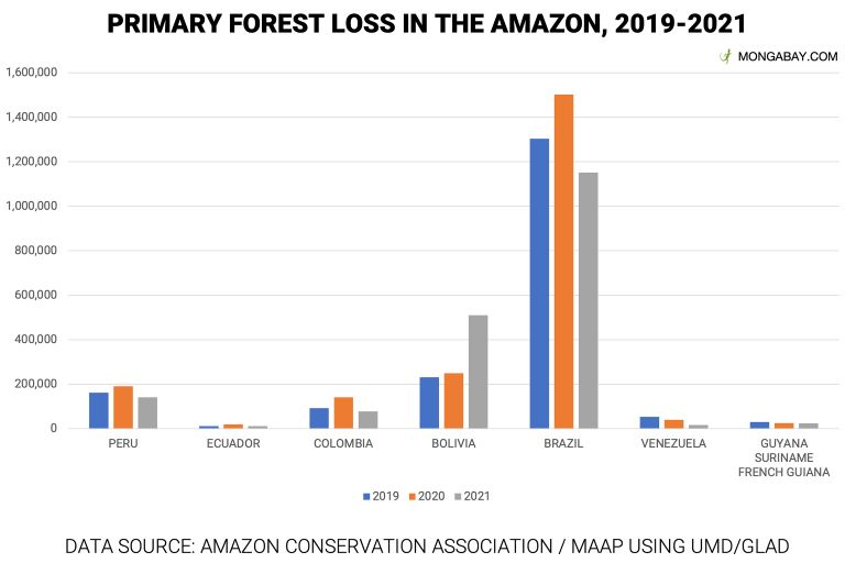 2021 Amazon deforestation map shows devastating impact of ranching ...