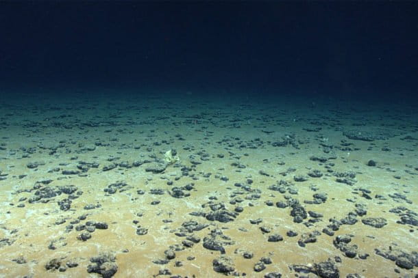 ‘A huge mistake’: Concerns rise as deep-sea mining negotiations progress