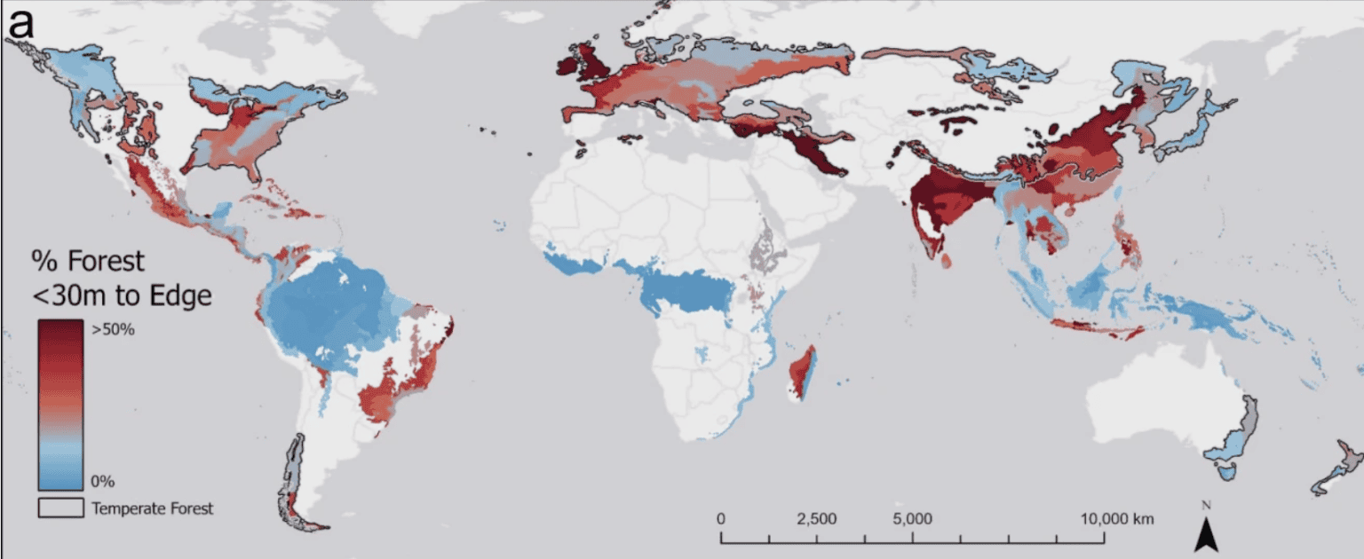 Trees and soil at the forest’s edge store more carbon than we thought ...