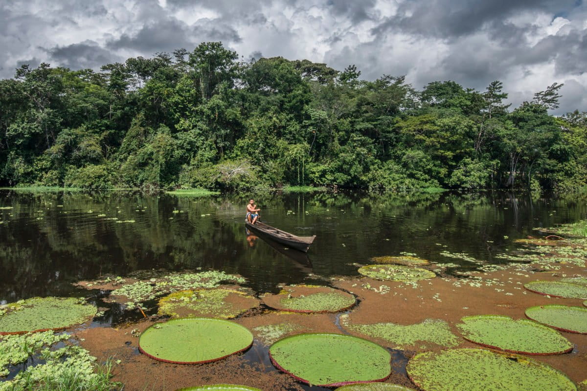 A new index measures the human impacts on Amazon waters