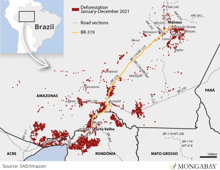 Surge in deforestation as Brazil pushes to pave a forgotten Amazon road