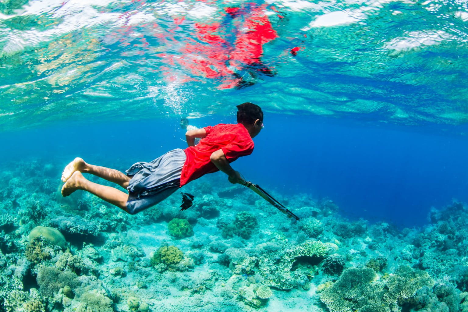 For more fish and healthier coral in Bali, focus on communities and ...