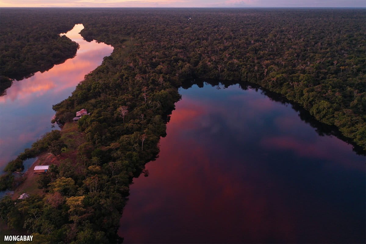 Caribbean incursion into Amazon sparked a flurry of life, with lessons ...