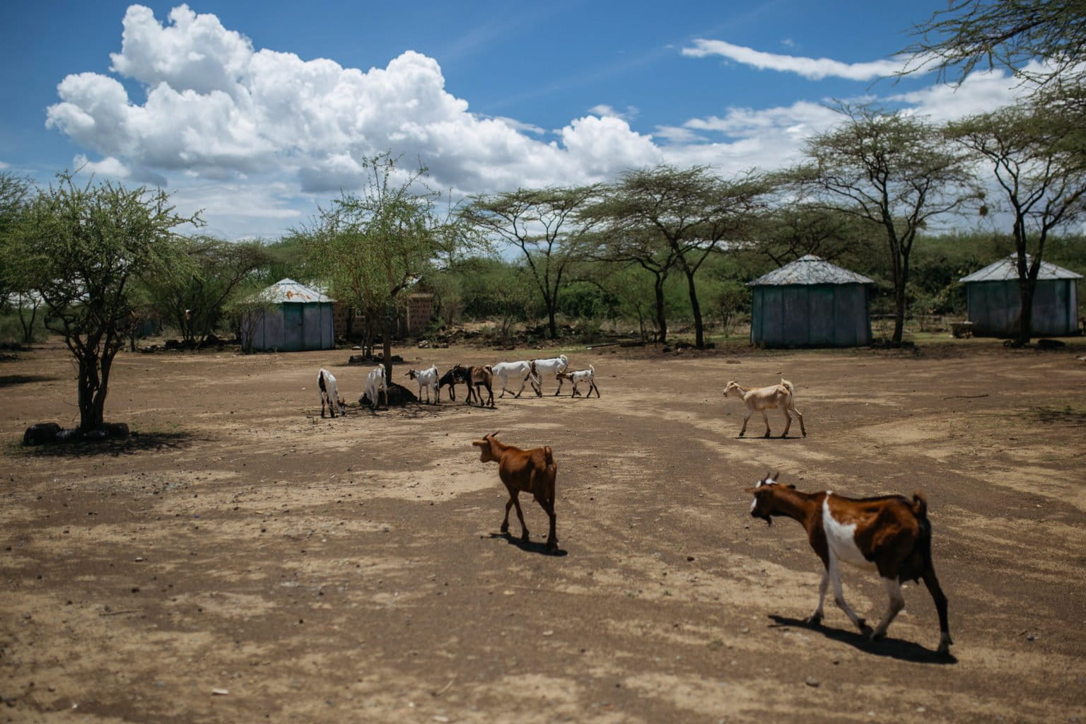 Conflict over resources in Kenya hits deadly highs with firearms in play