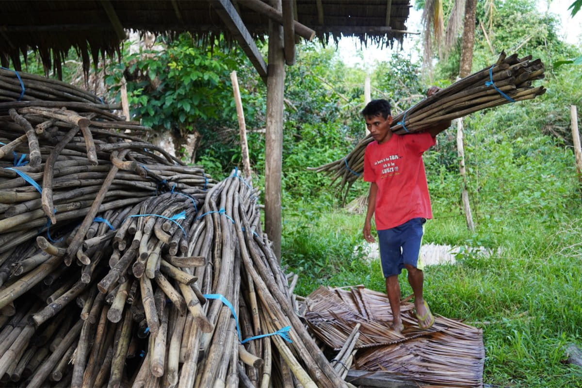 Devastated by a typhoon, community foresters in the Philippines find ...
