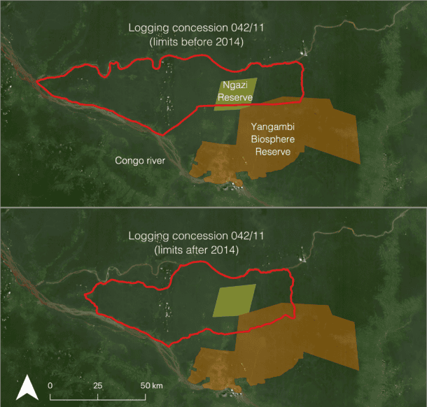 Loggers close in on one of the world’s oldest biosphere reserves