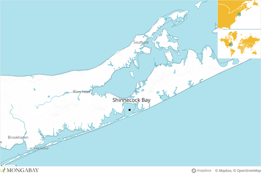 ‘The return of land to Indigenous people is key’: Q&A with Shinnecock ...