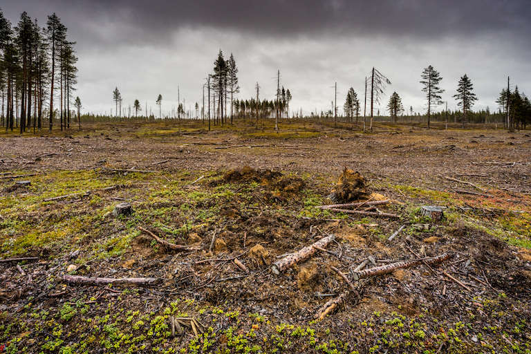 Will the new EU environment leader change Sweden's conservation ...