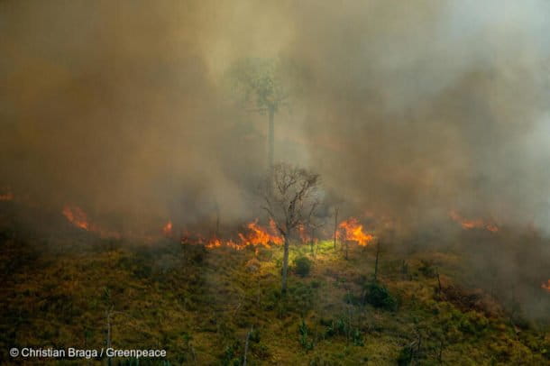 As the Amazon burns, only the weather can ward off a catastrophe ...