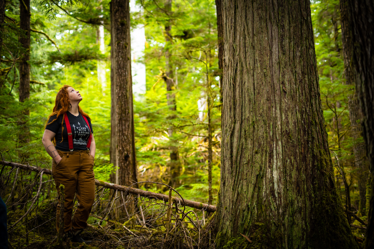 'Monument trees' underpin Alaska Native cultural resilience: they must ...