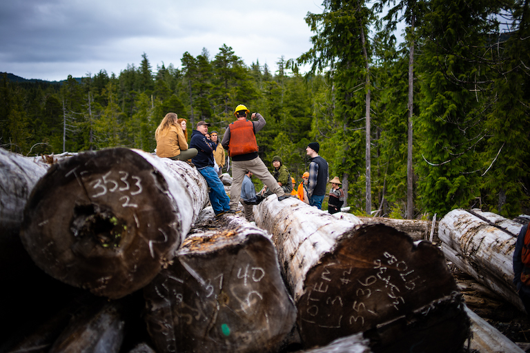 'Monument trees' underpin Alaska Native cultural resilience: they must ...